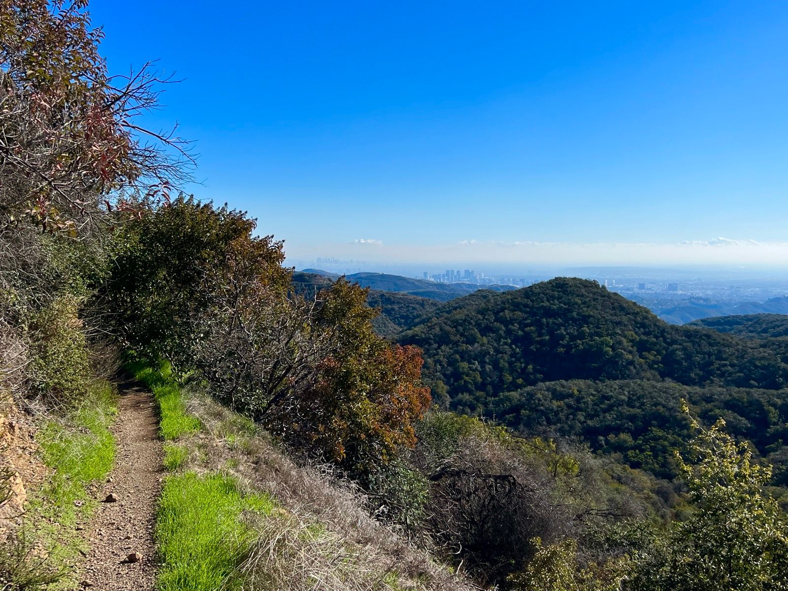 Will Rogers loop from Temescal – Trail Runners Club