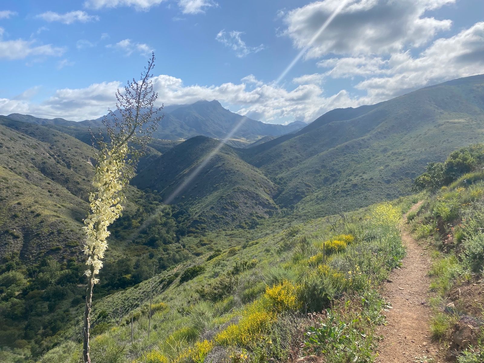 santa monica mountains – Ray Miller to Scenic & Fireline – Trail ...